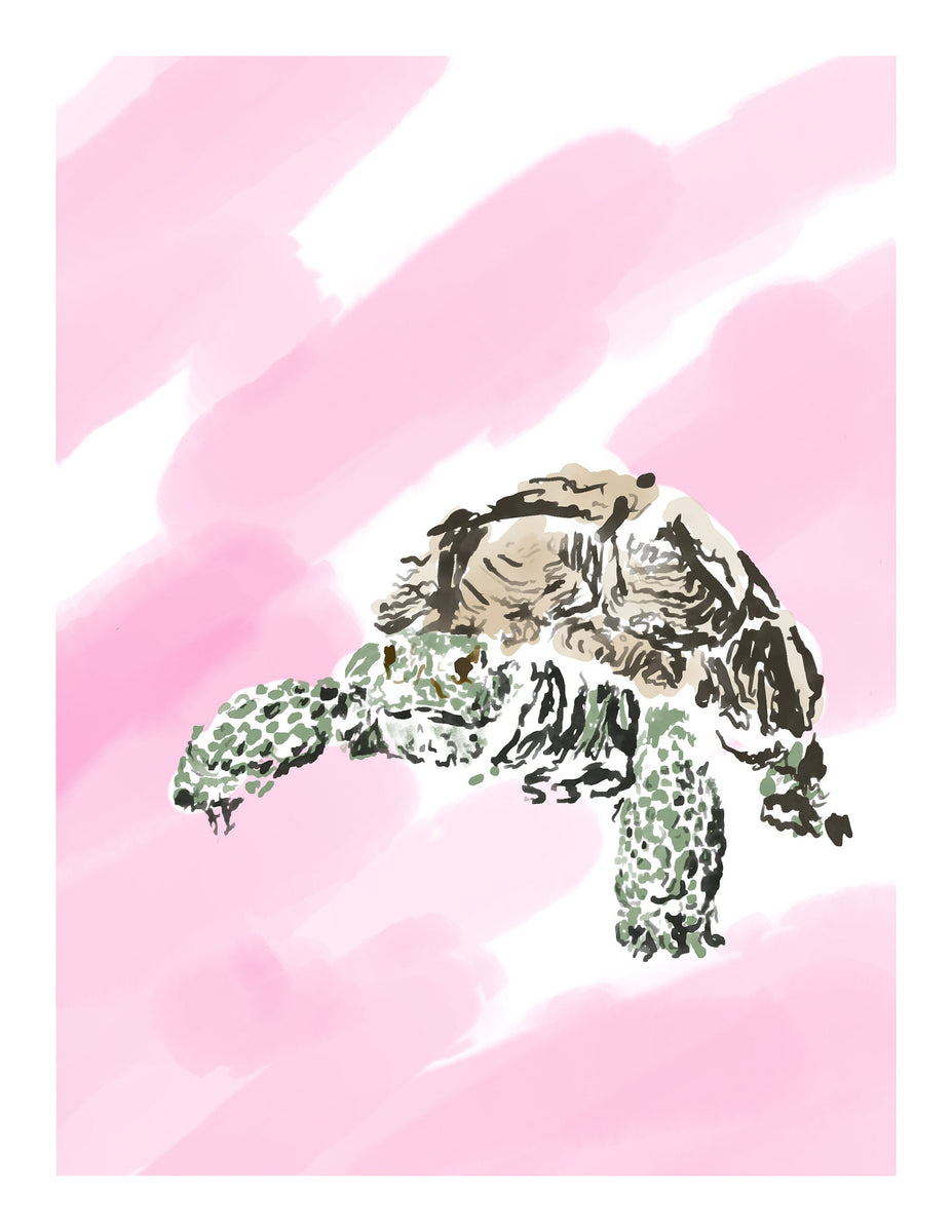 Terry the Tortoise - signed children's book print – DAN JOYCE art